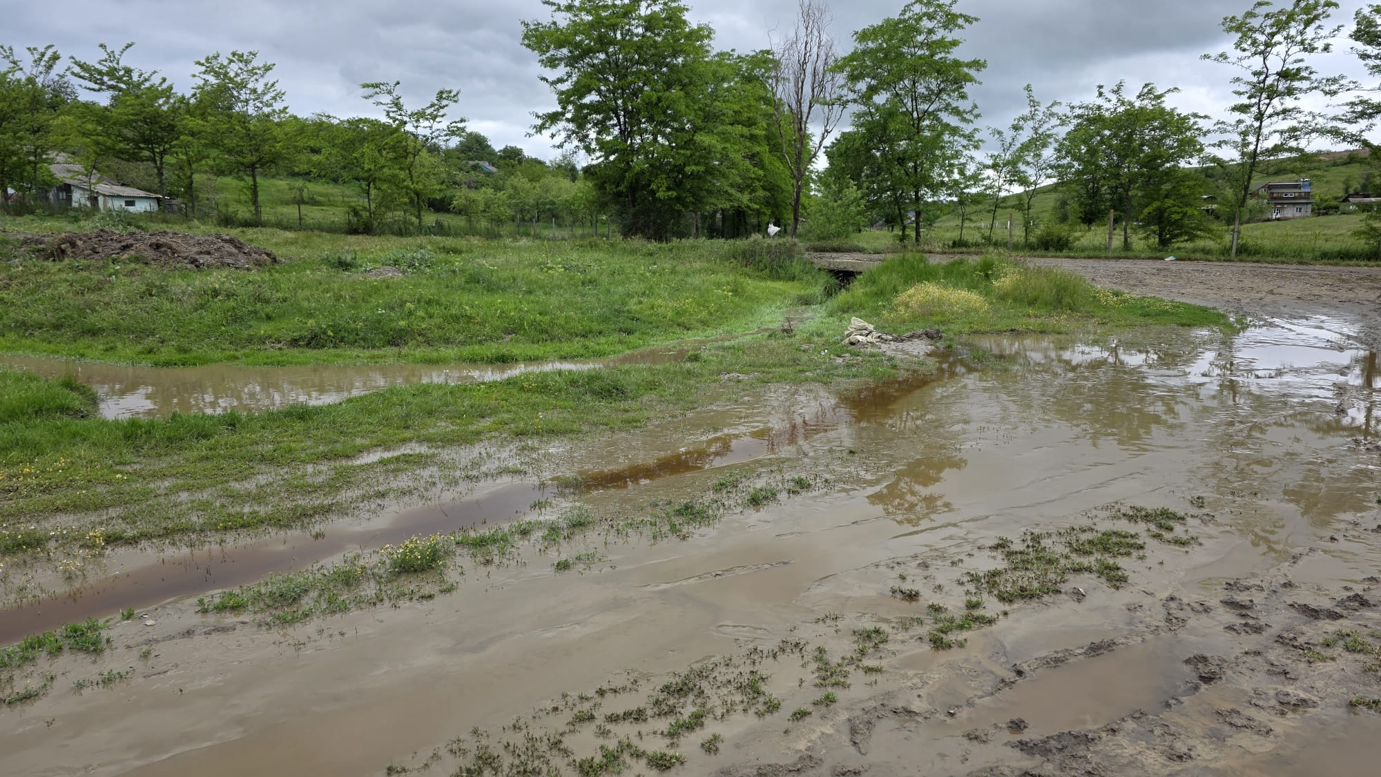 noroi in comuna focuri - Stiri Iasi, anchete, investigatii, interviuri ...